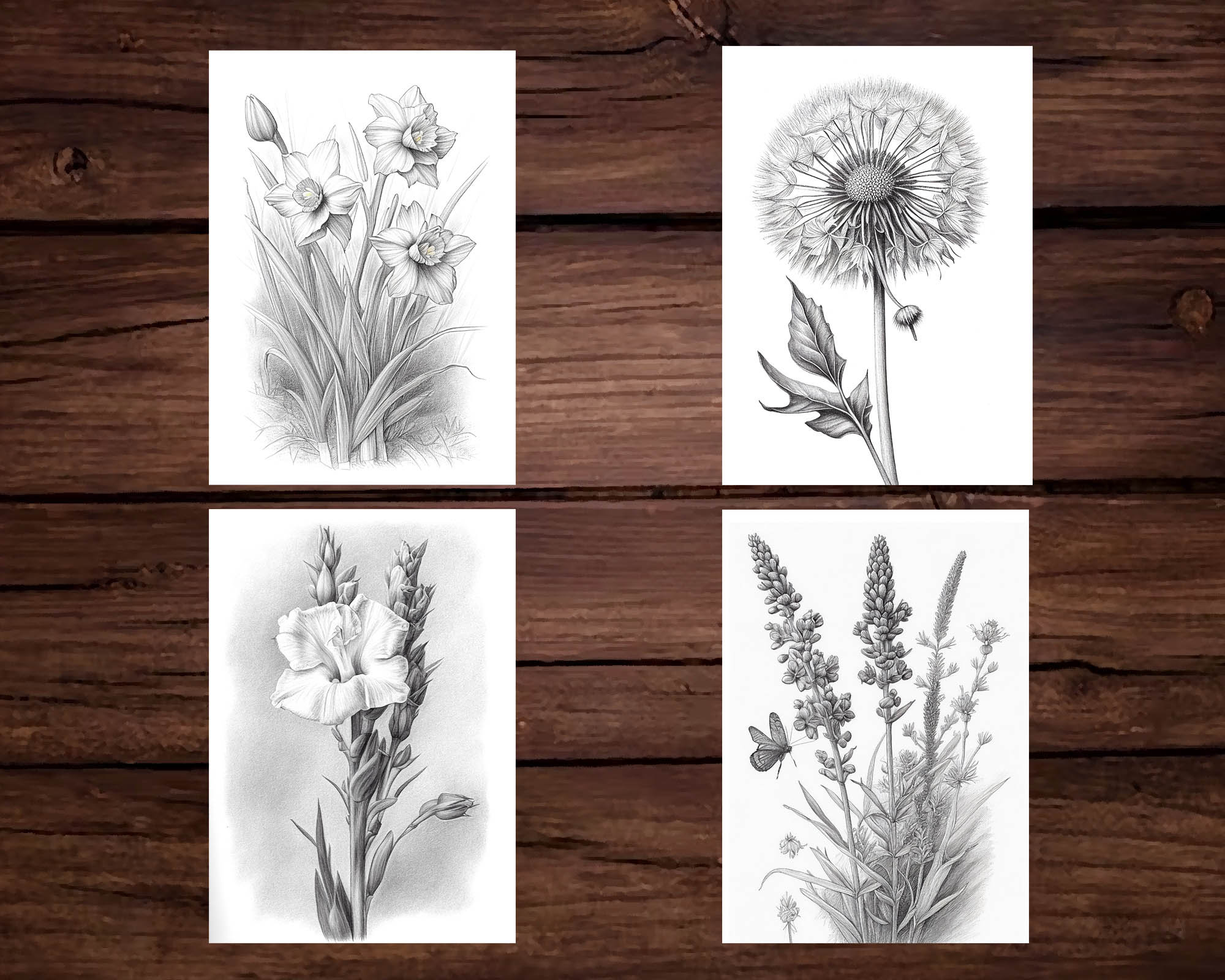 20 Flower Collection Coloring Page, Adults + Kids- Instant Download ...