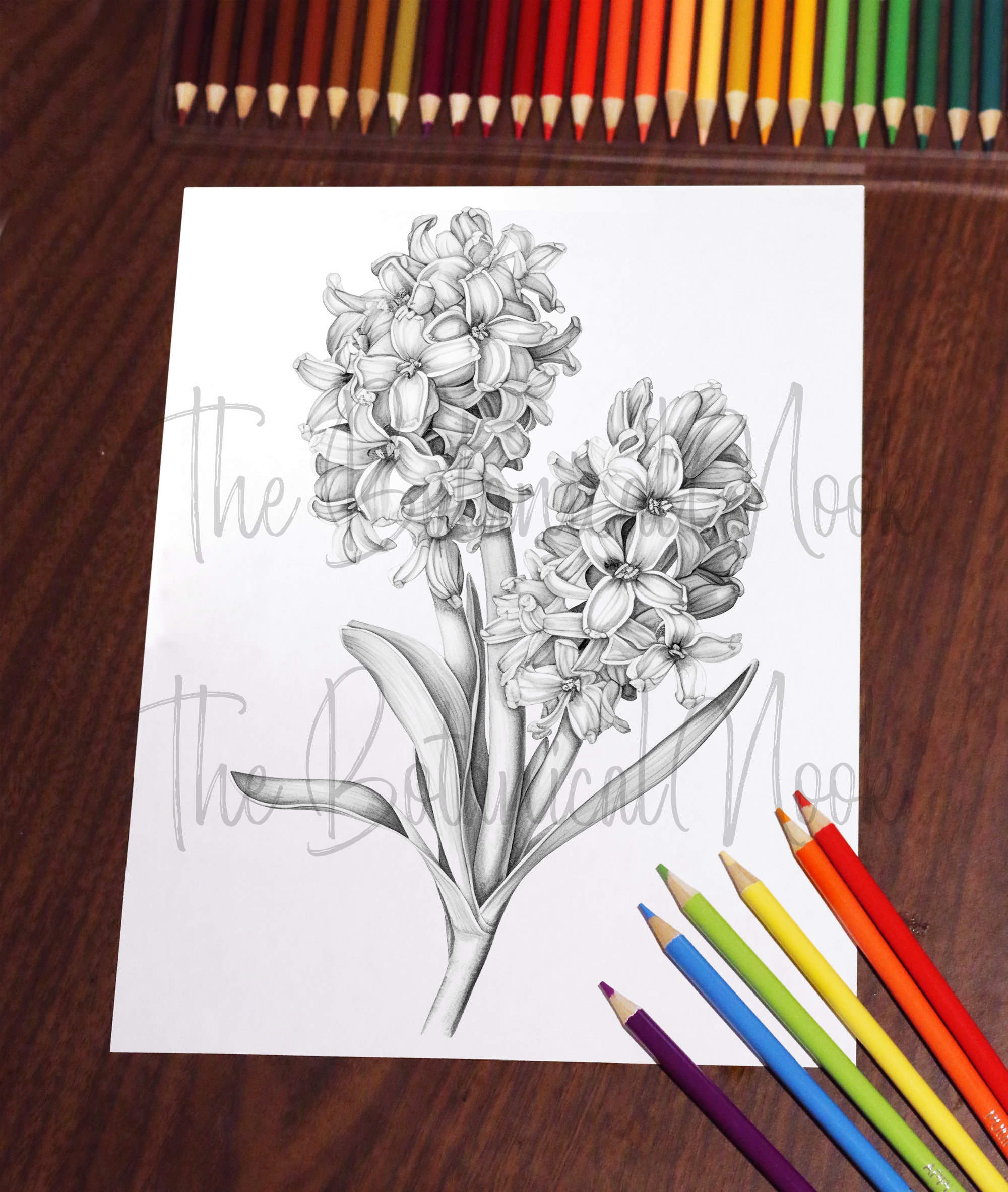 25 Flowers With Names Coloring Book, Adults Kids Instant Download ...