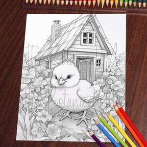 Cute Spring Chicken, Chicks & Flowers Coloring Page, Adults + Kids ...