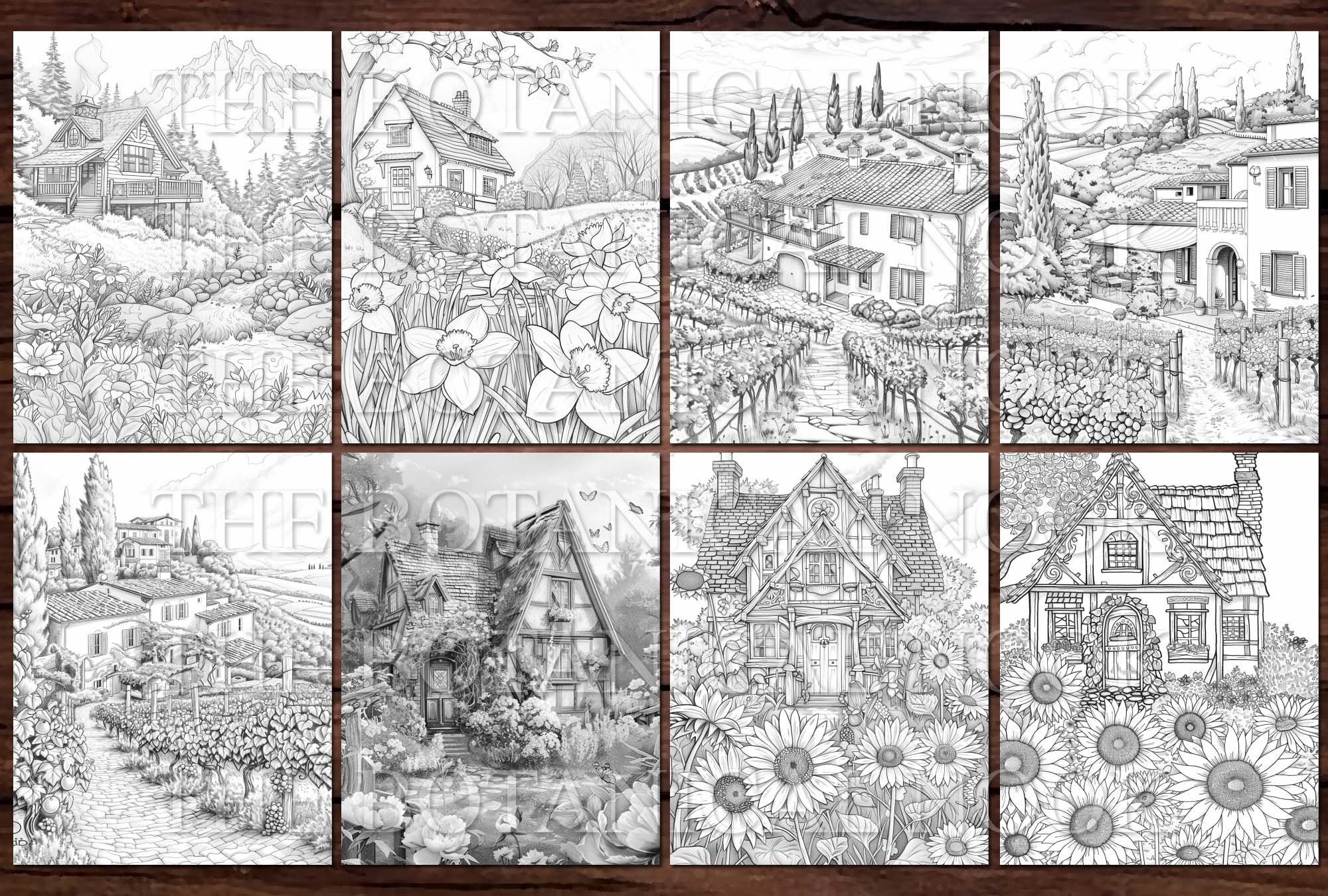50 Hummingbird Life Cute Variety, Coloring Page Book, Adults + Kids ...