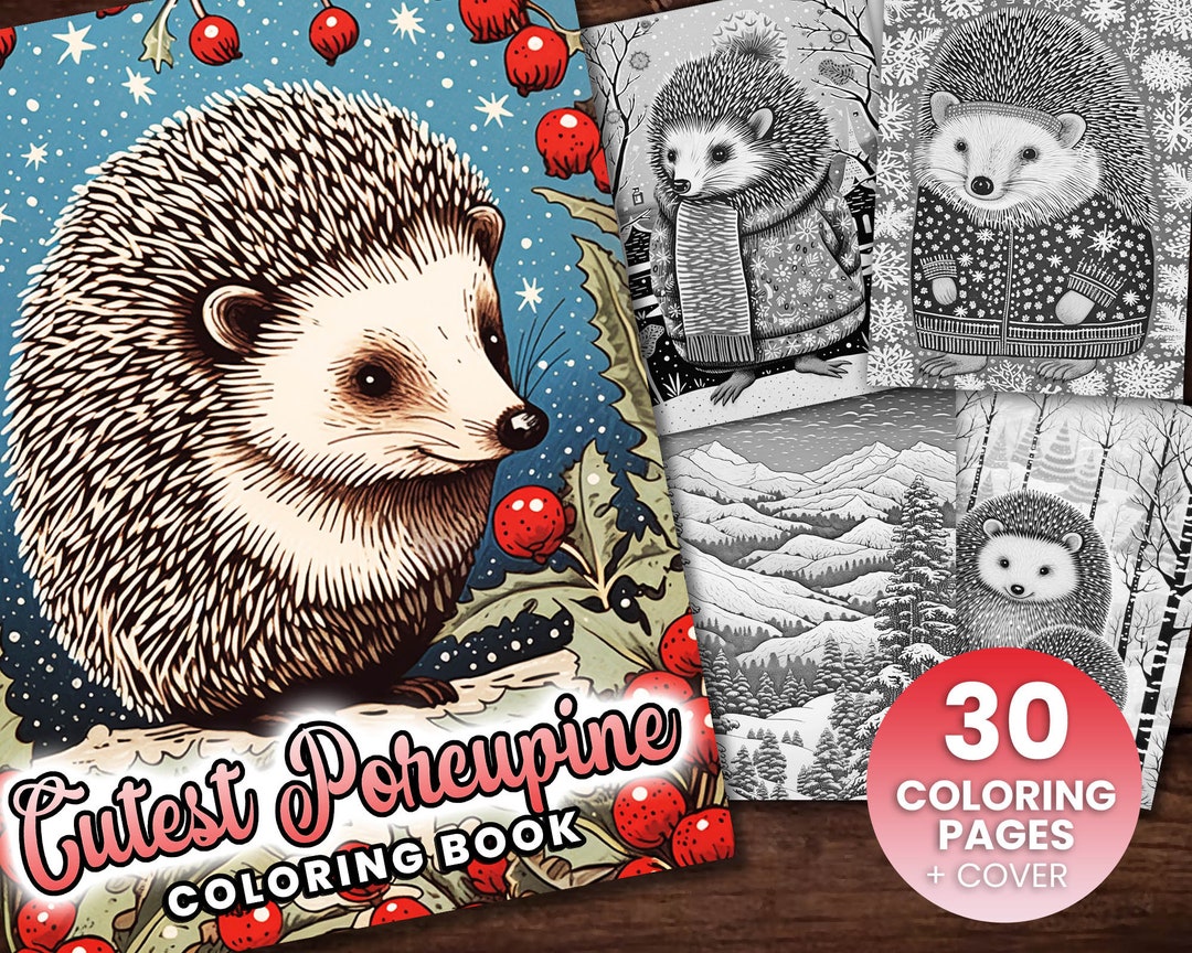 30 Cute Porcupines Animal Coloring Page Book, Adults + Kids Instant ...