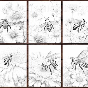 23 Honey Bee Love Coloring Book, Adults Kids Instant Download ...