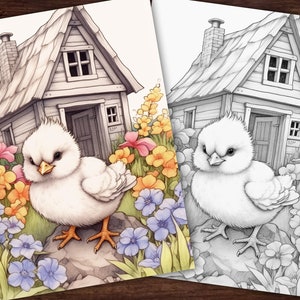 Cute Spring Chicken, Chicks & Flowers Coloring Page, Adults + Kids ...