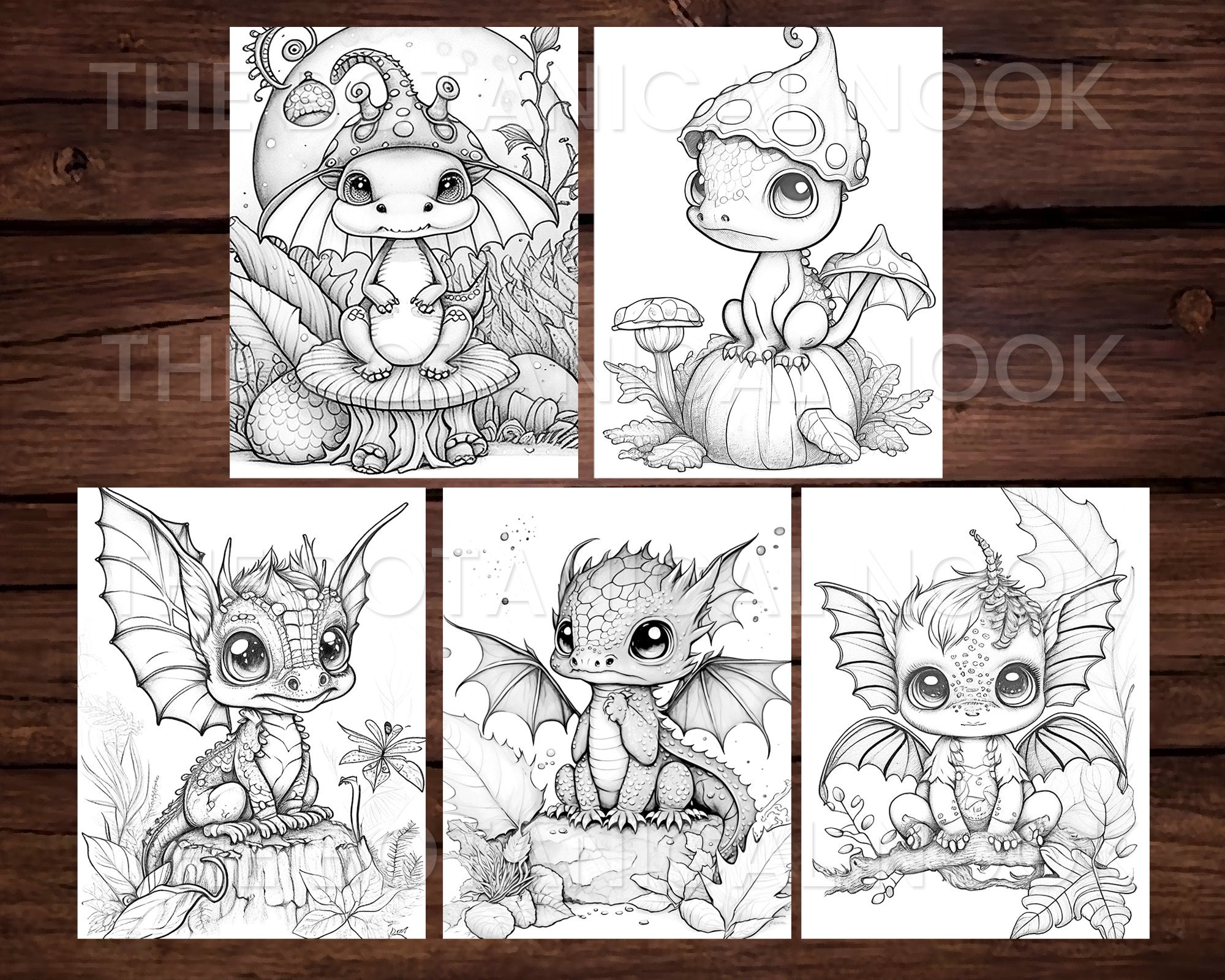 24 Baby Woodland Dragon Fantasy Coloring Page Book Adults - Etsy UK