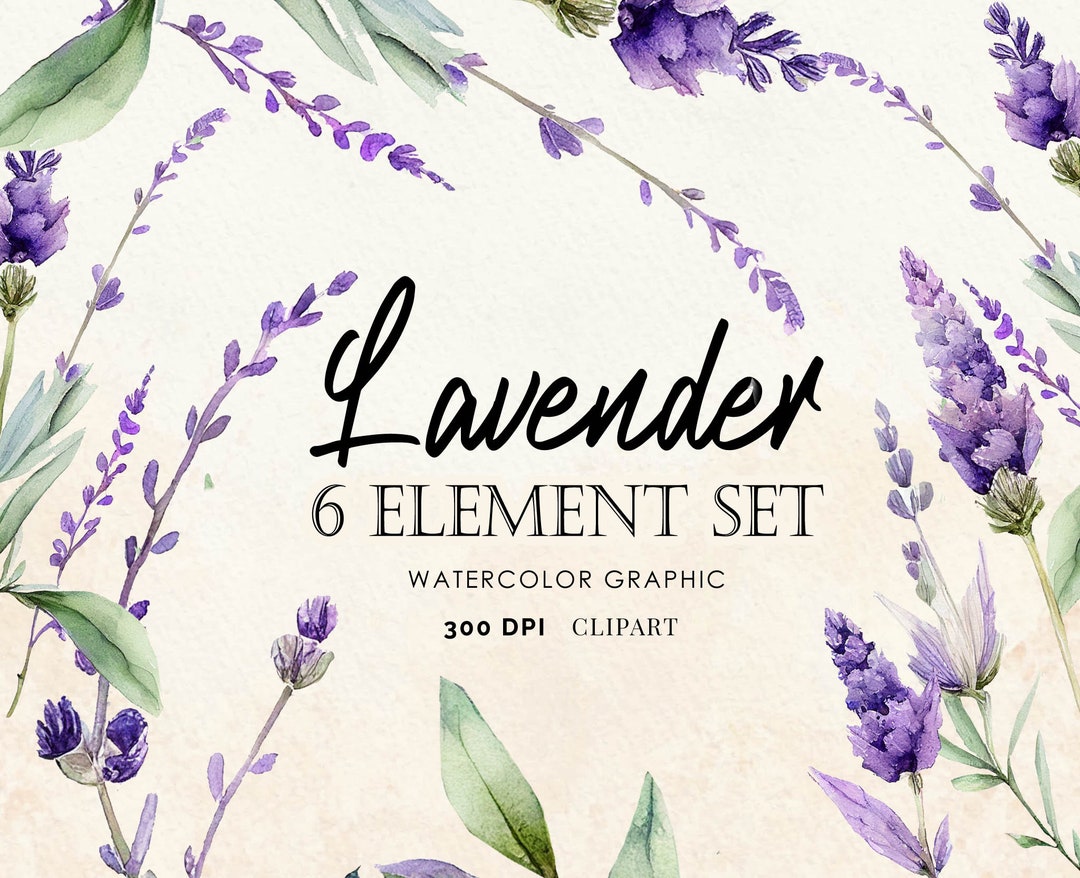 Lavender Watercolor Floral Clipart (graphic) Botanical Illustration ...