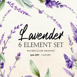 Lavender Watercolor Floral Clipart (graphic) Botanical Illustration ...
