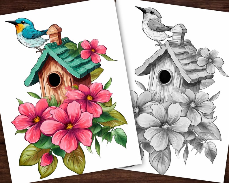 29 Bird Houses Cute Coloring Page Book Adults Kids Instant - Etsy