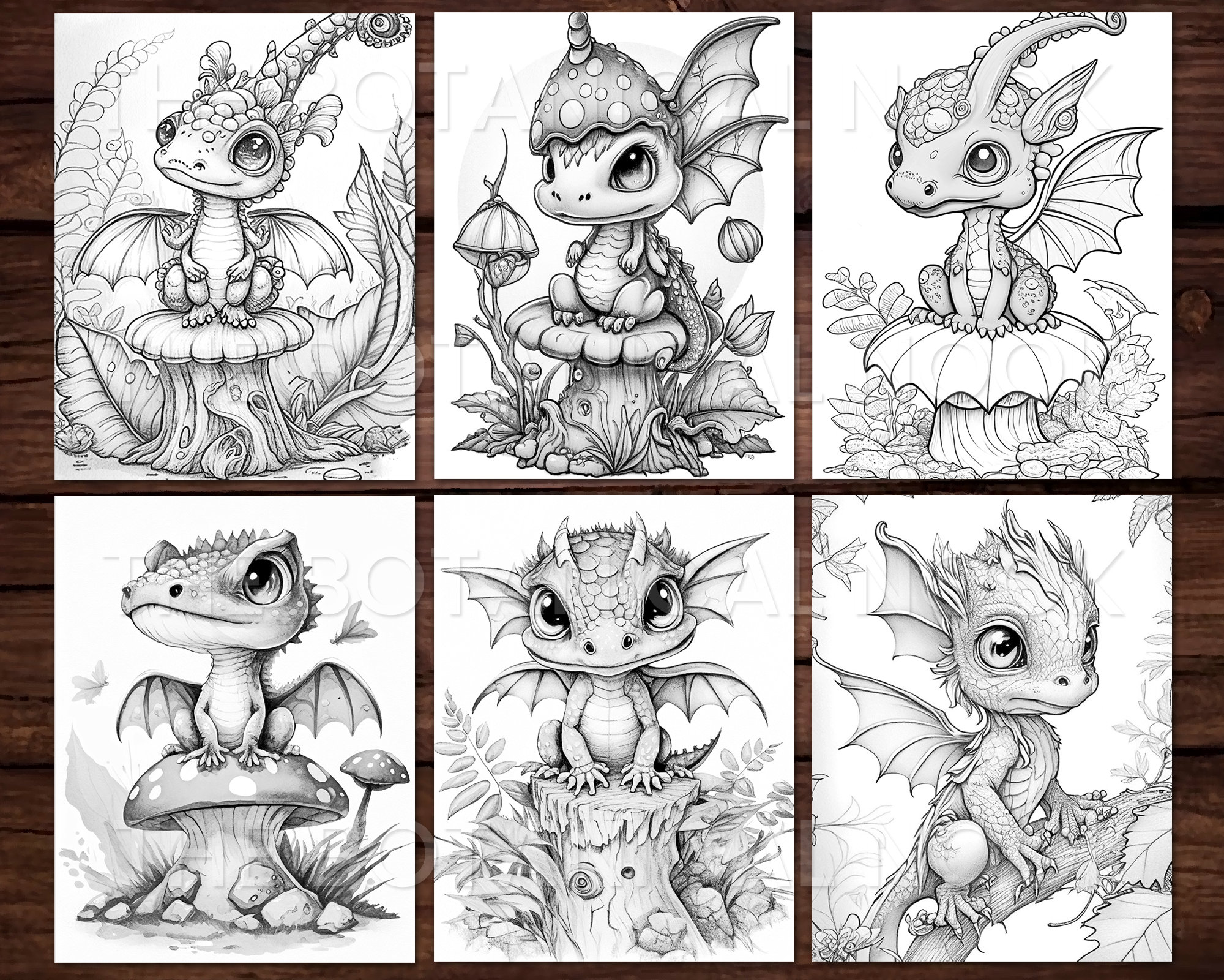 24 Baby Woodland Dragon Fantasy Coloring Page Book Adults - Etsy UK