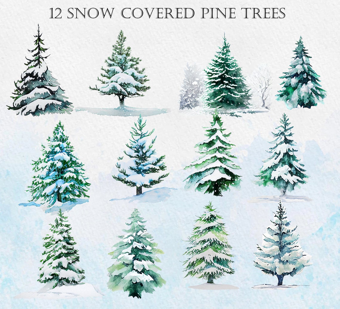 Winter Snow Pine Trees Woods Watercolor graphic Botanical - Etsy