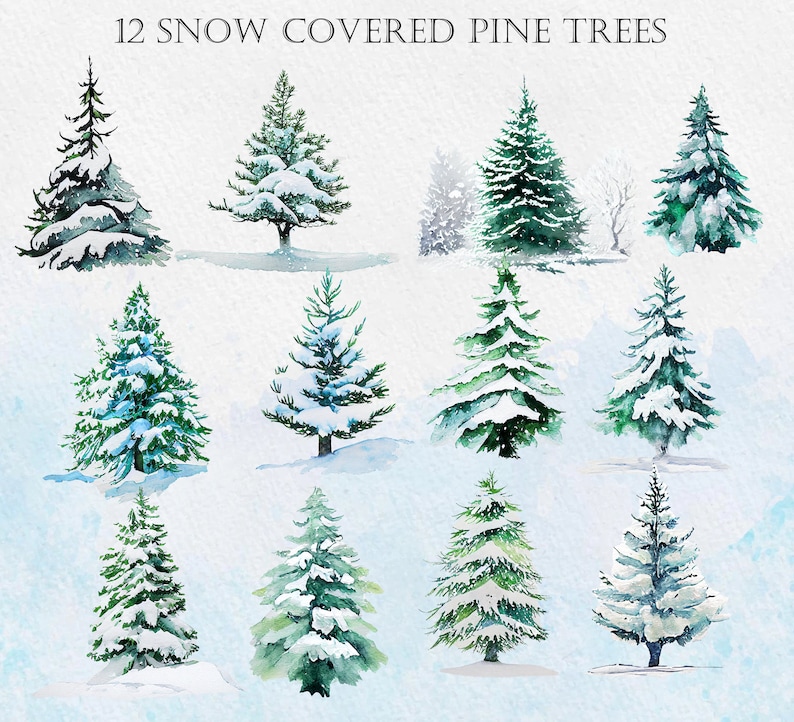 Winter Snow Pine Trees Woods Watercolor (graphic) Botanical ...
