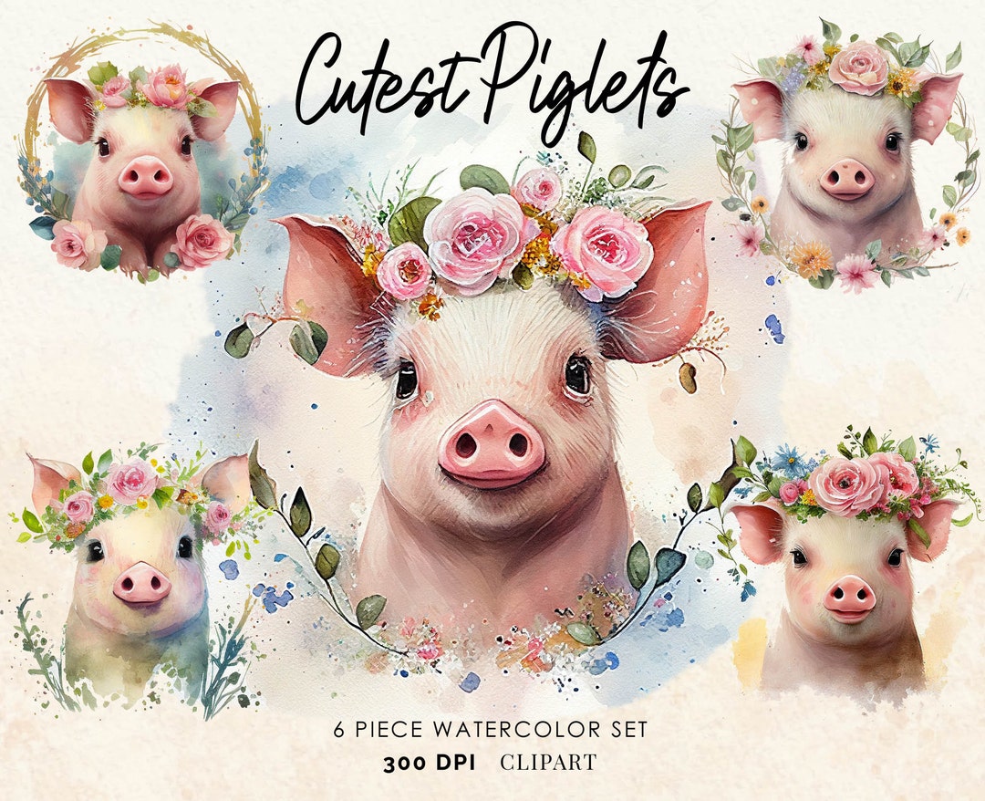 Cute Pig Watercolor Clip Art Set (6 Graphics) Illustration Instant ...