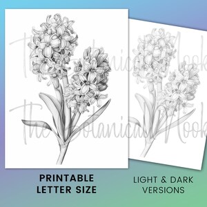 25 Flowers With Names Coloring Book, Adults Kids Instant Download ...