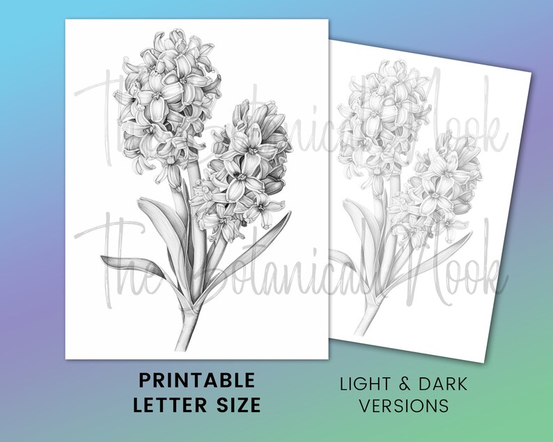25 Flowers With Names Coloring Book, Adults Kids Instant Download ...