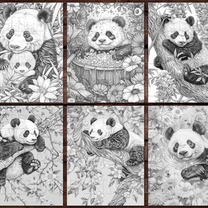 30 Fun Panda Cute Coloring Page Book, Adults + Kids Instant Download ...