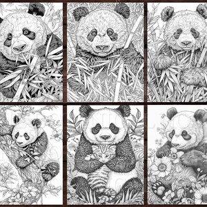 30 Fun Panda Cute Coloring Page Book, Adults + Kids Instant Download ...