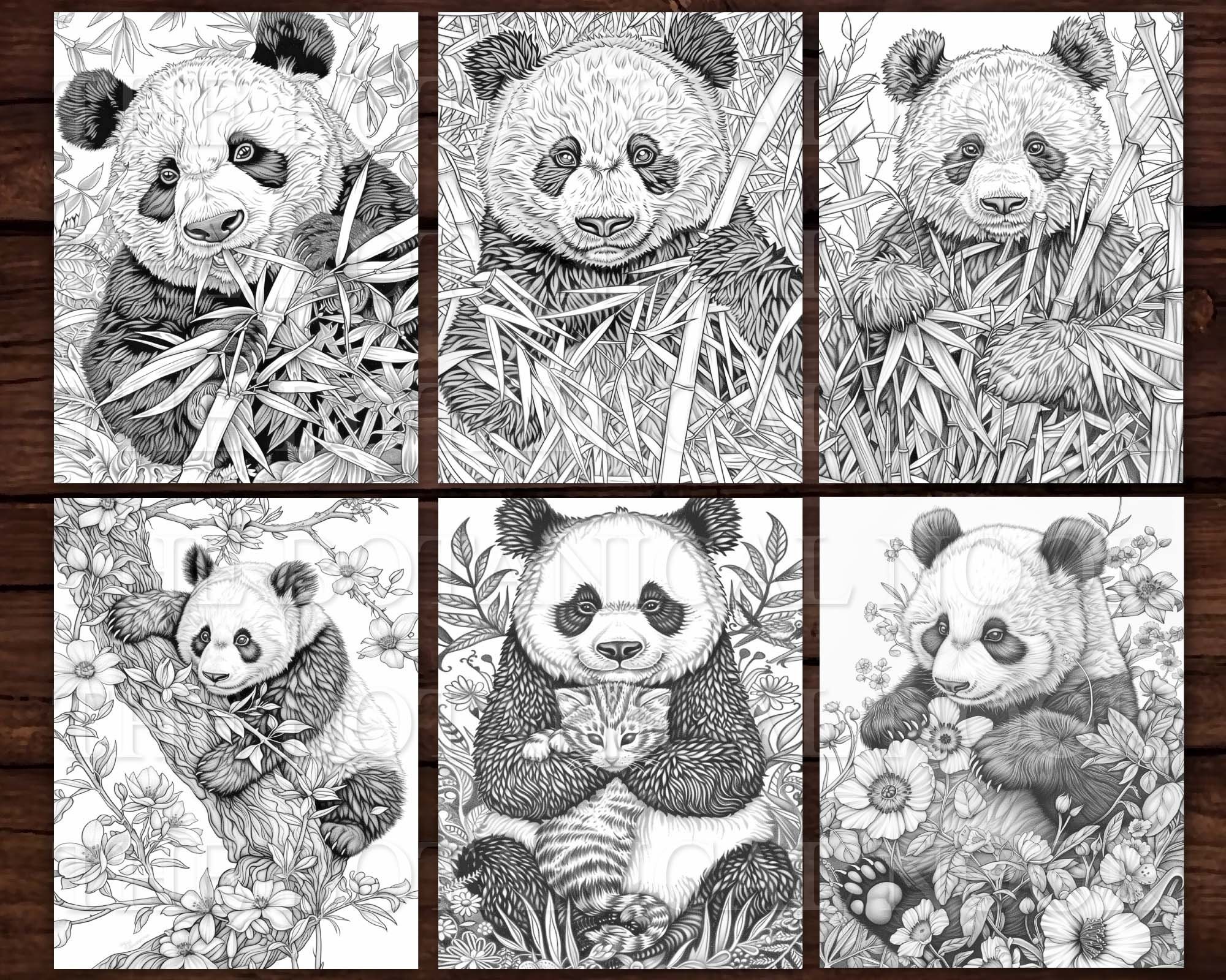 30 Fun Panda Cute Coloring Page Book, Adults + Kids Instant Download ...