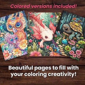 30 Animal Baby Wonders Variety Pack Coloring Pages Book, Adults + Kids ...