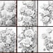 21 Rose Elegance Collection Coloring Page, Adults Kids Instant Download ...