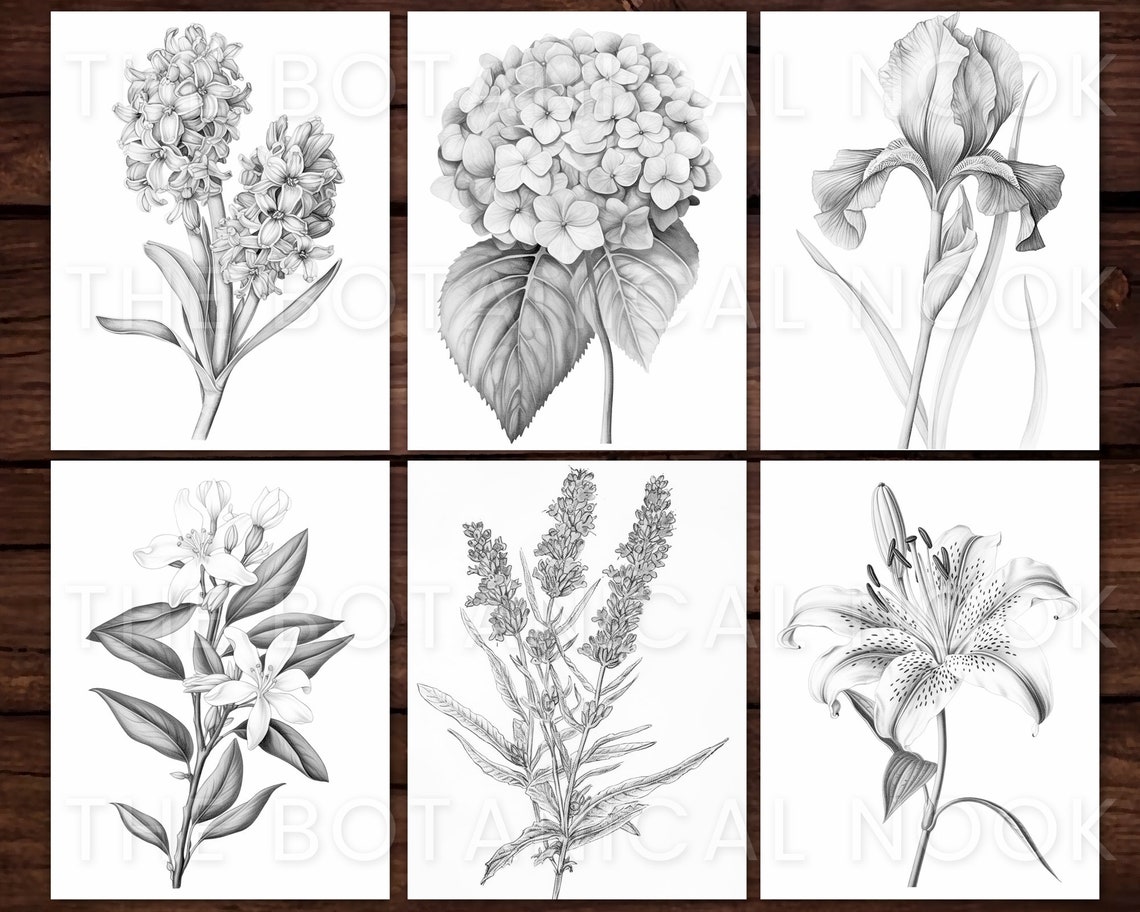 25 Flowers With Names Coloring Book, Adults Kids Instant Download ...