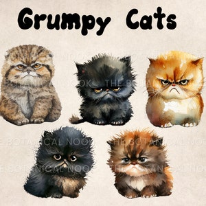 10 Grumpy Cats Cute Fluffy Kitten Watercolor Clip Art Set (10 Graphics ...