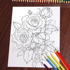 20 Rose Magic Collection Coloring Page, Adults + Kids- Instant Download ...