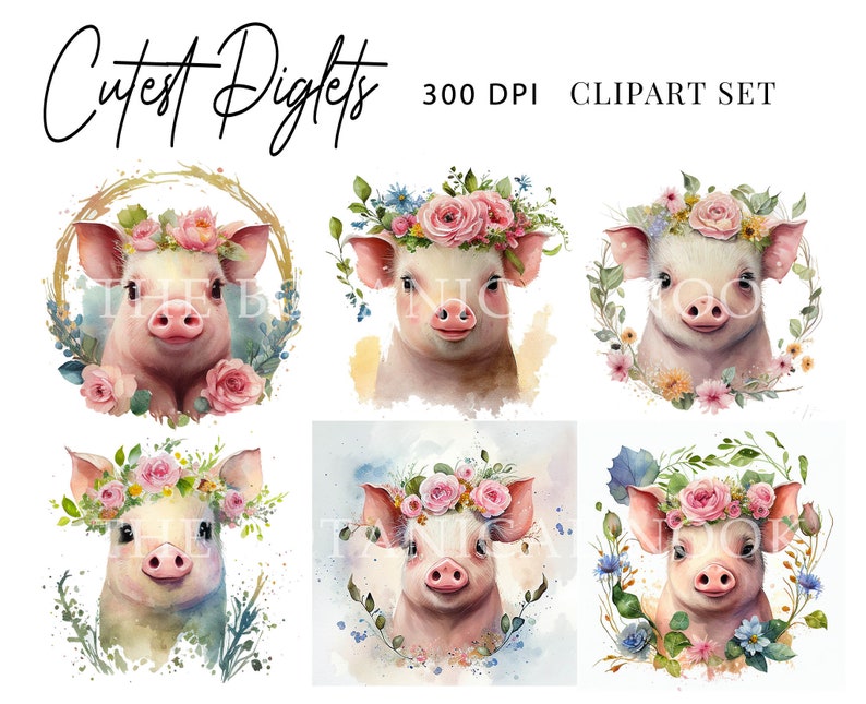 Cute Pig Watercolor Clip Art Set 6 Graphics Illustration - Etsy