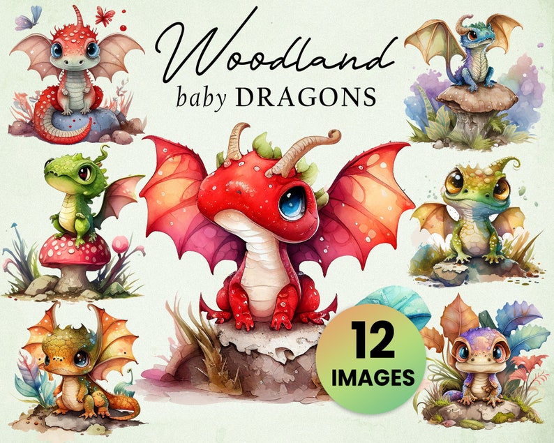 Cute Woodland Dragon Babies 12 Graphic Clip Art Illustration - Etsy