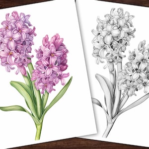 25 Flowers With Names Coloring Book, Adults Kids Instant Download ...