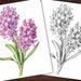 25 Flowers With Names Coloring Book, Adults Kids Instant Download ...