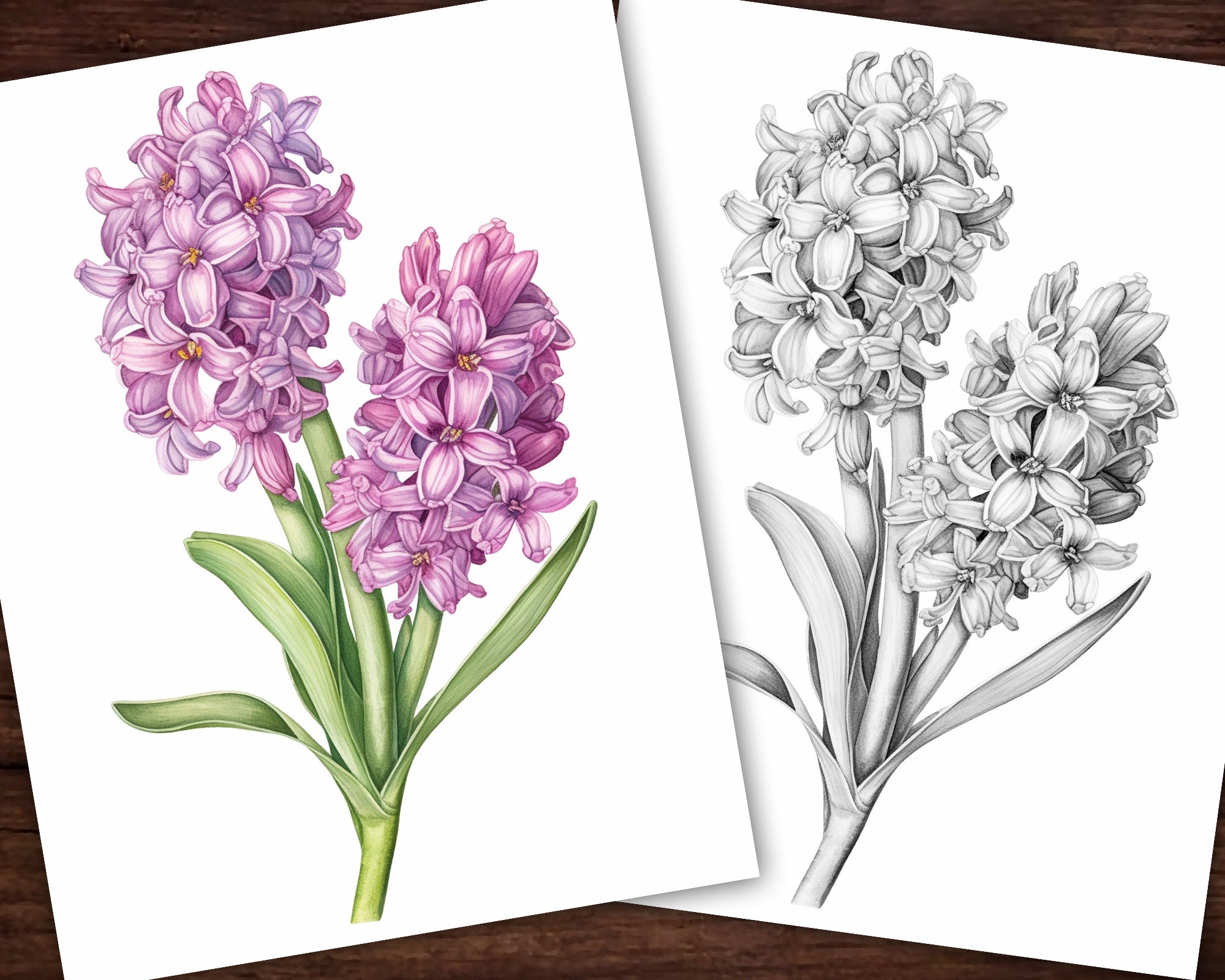 25 Flowers With Names Coloring Book, Adults Kids Instant Download ...