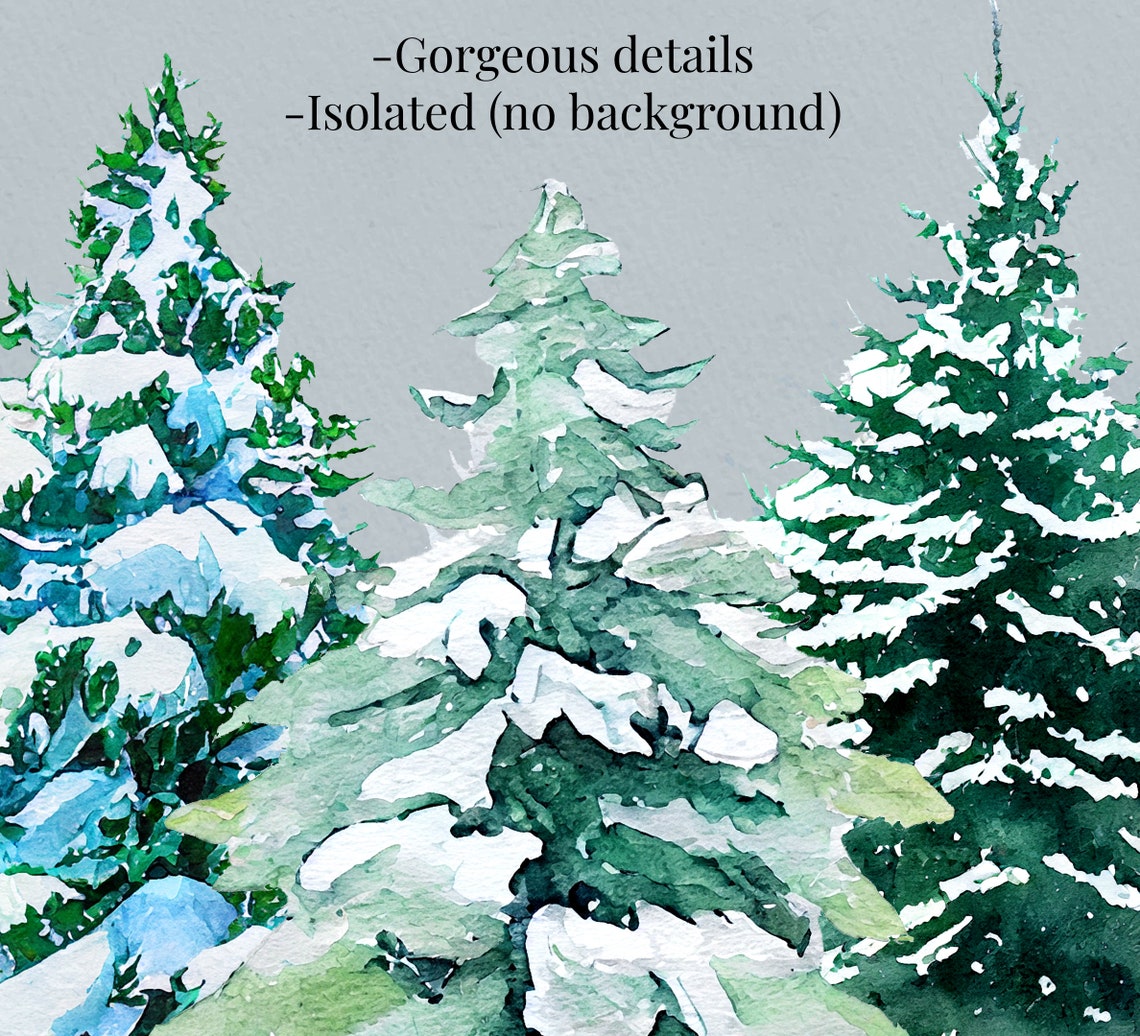 Winter Snow Pine Trees Woods Watercolor graphic Botanical - Etsy