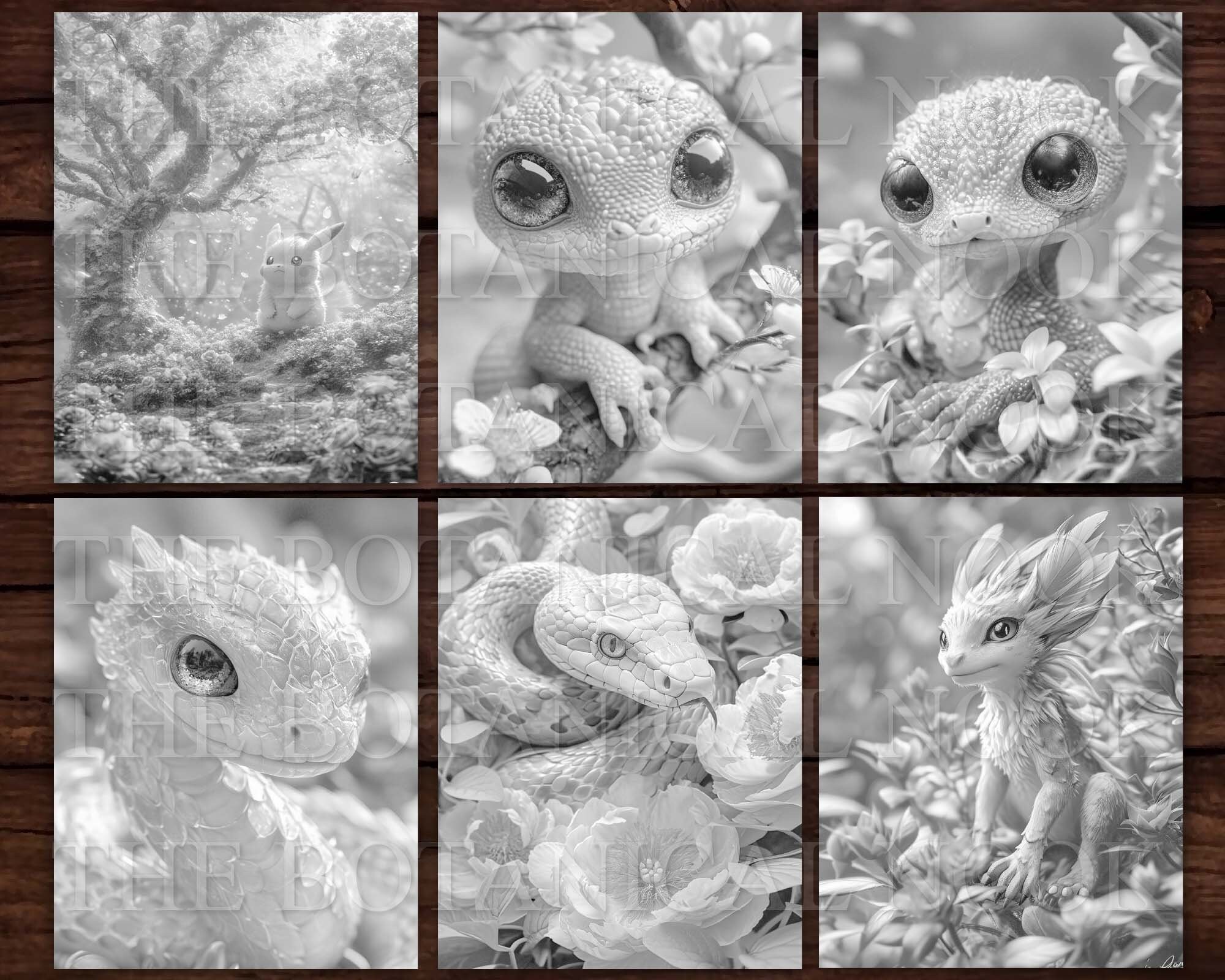 30 Fantasy Animals Variety Pack Coloring Pages Book, Adults + Kids ...