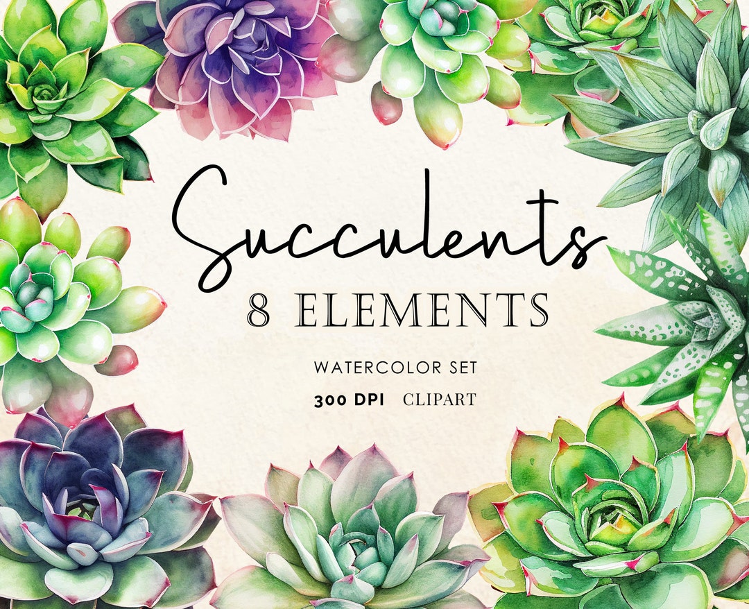 Watercolor Succulent Clipart (8 Piece Graphic) Botanical Illustration ...