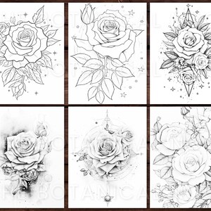 20 Rose Magic Collection Coloring Page, Adults + Kids- Instant Download ...