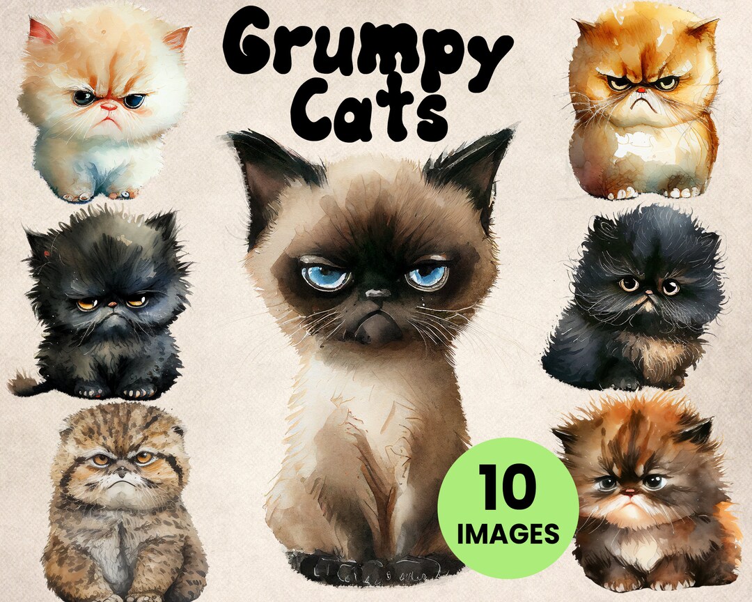 10 Grumpy Cats Cute Fluffy Kitten Watercolor Clip Art Set (10 Graphics ...
