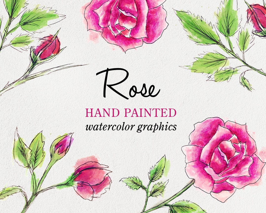 Watercolor Roses Instant Download Graphic / Clip Art - Watercolor Wild ...