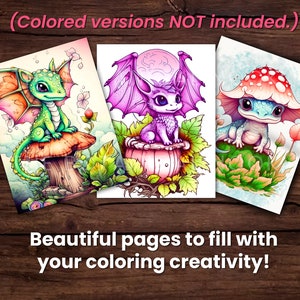 30 Baby Woodland Dragon Fantasy Coloring Page Book, Adults + Kids ...