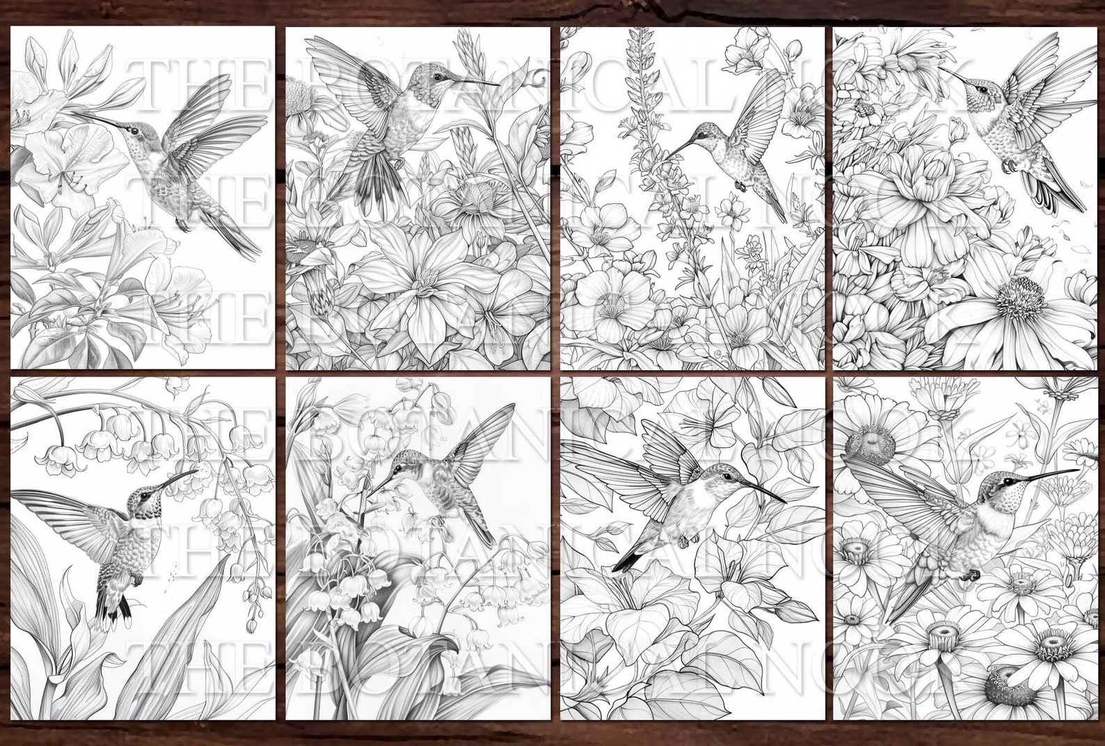 50 Hummingbird Life Cute Variety, Coloring Page Book, Adults + Kids ...