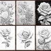 21 Rose Elegance Collection Coloring Page, Adults Kids Instant Download ...