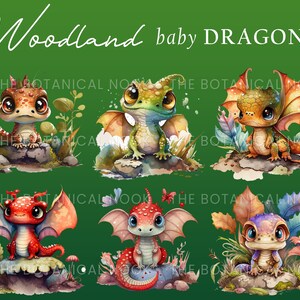 Cute Woodland Dragon Babies (12 Graphic Clip Art) Illustration Instant ...