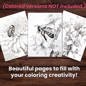 23 Honey Bee Love Coloring Book, Adults Kids Instant Download ...