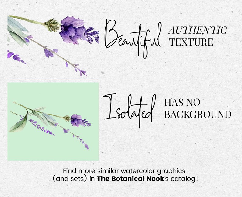 Lavender Watercolor Floral Clipart (graphic) Botanical Illustration ...