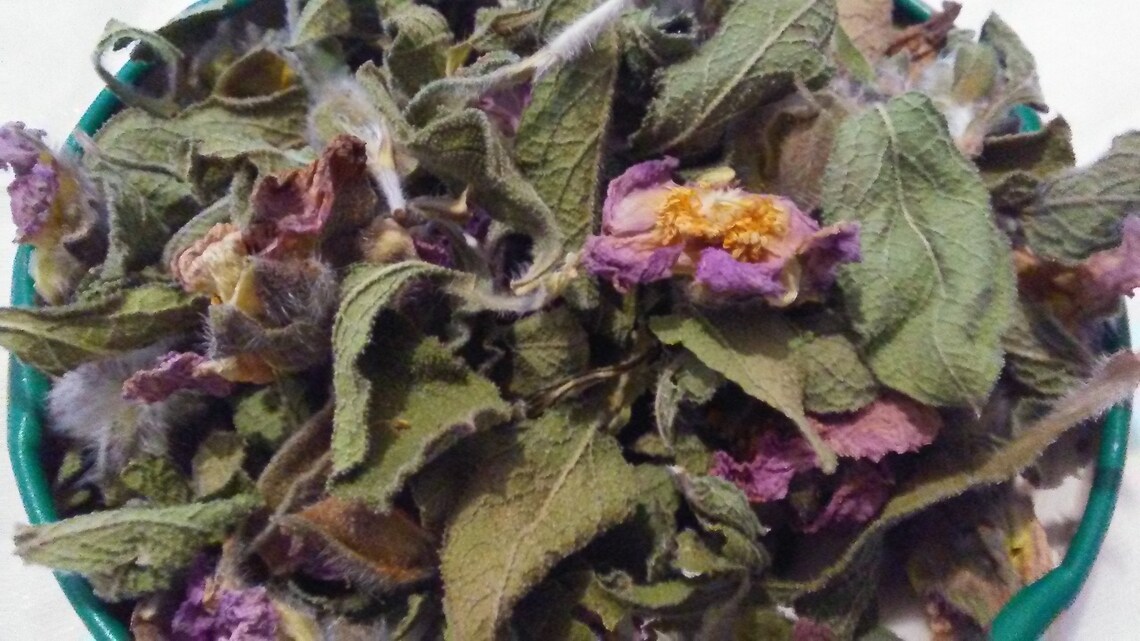 Dried Rock Rose (cistus Incanus) for Tea and Herbal Infusions. Super ...