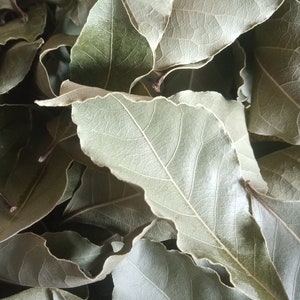 Bulk Whole Bay Leaf, per Lb FREE GLOBAL SHIPPING Harvested to Order and ...