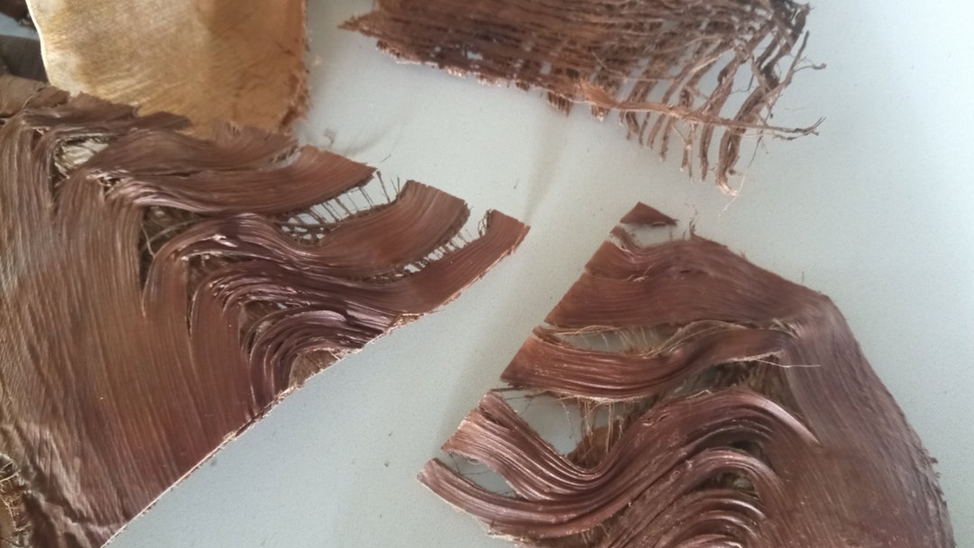 Palm Bark/fiber Offcut Pieces 20pc, Natural Dried Botanical for Collage ...