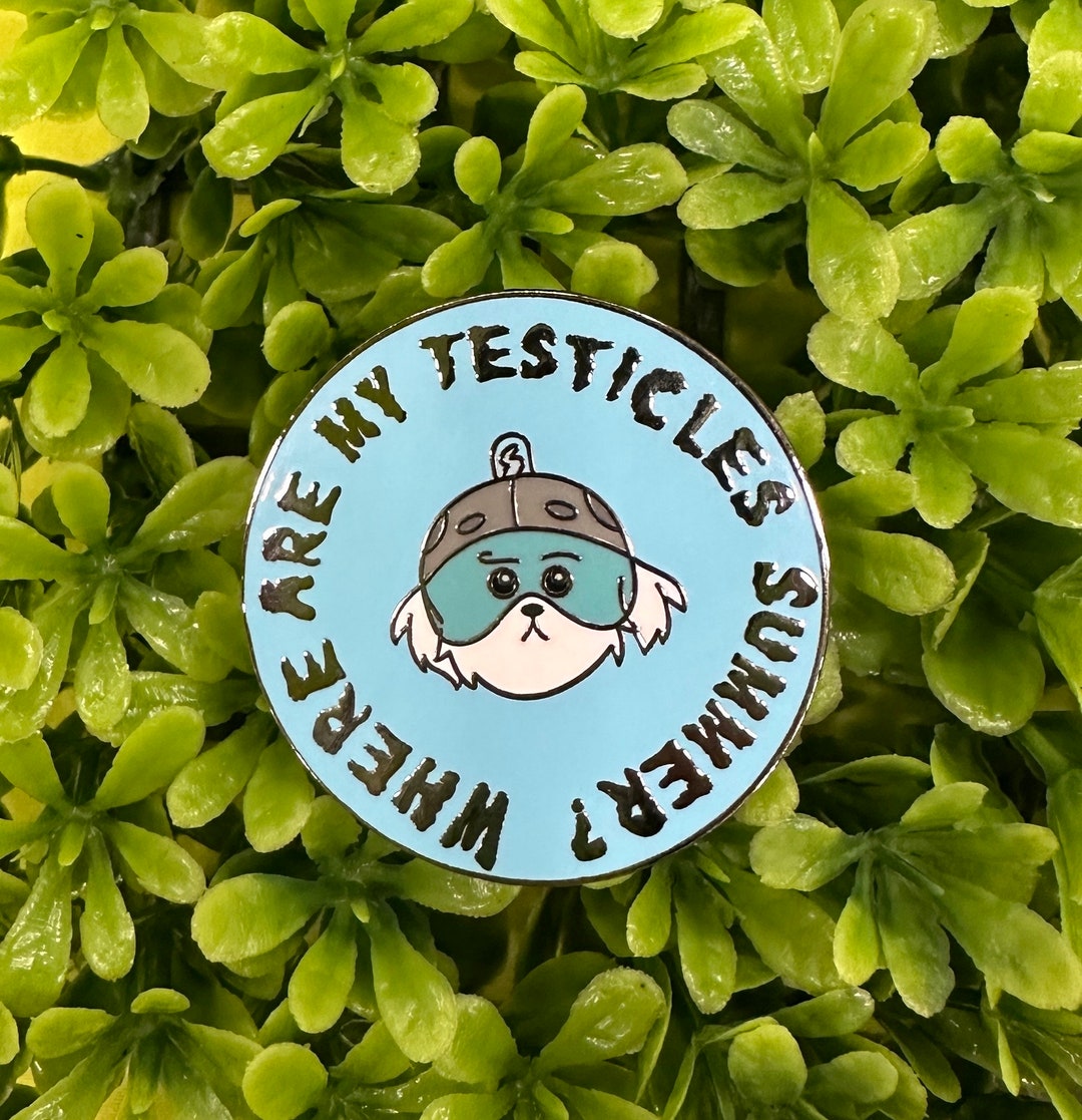 Where Are My Testicles Summer Pin SECONDS - Etsy