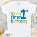 My First Birthday Shirt for Baby Boy or Girl Custom First - Etsy