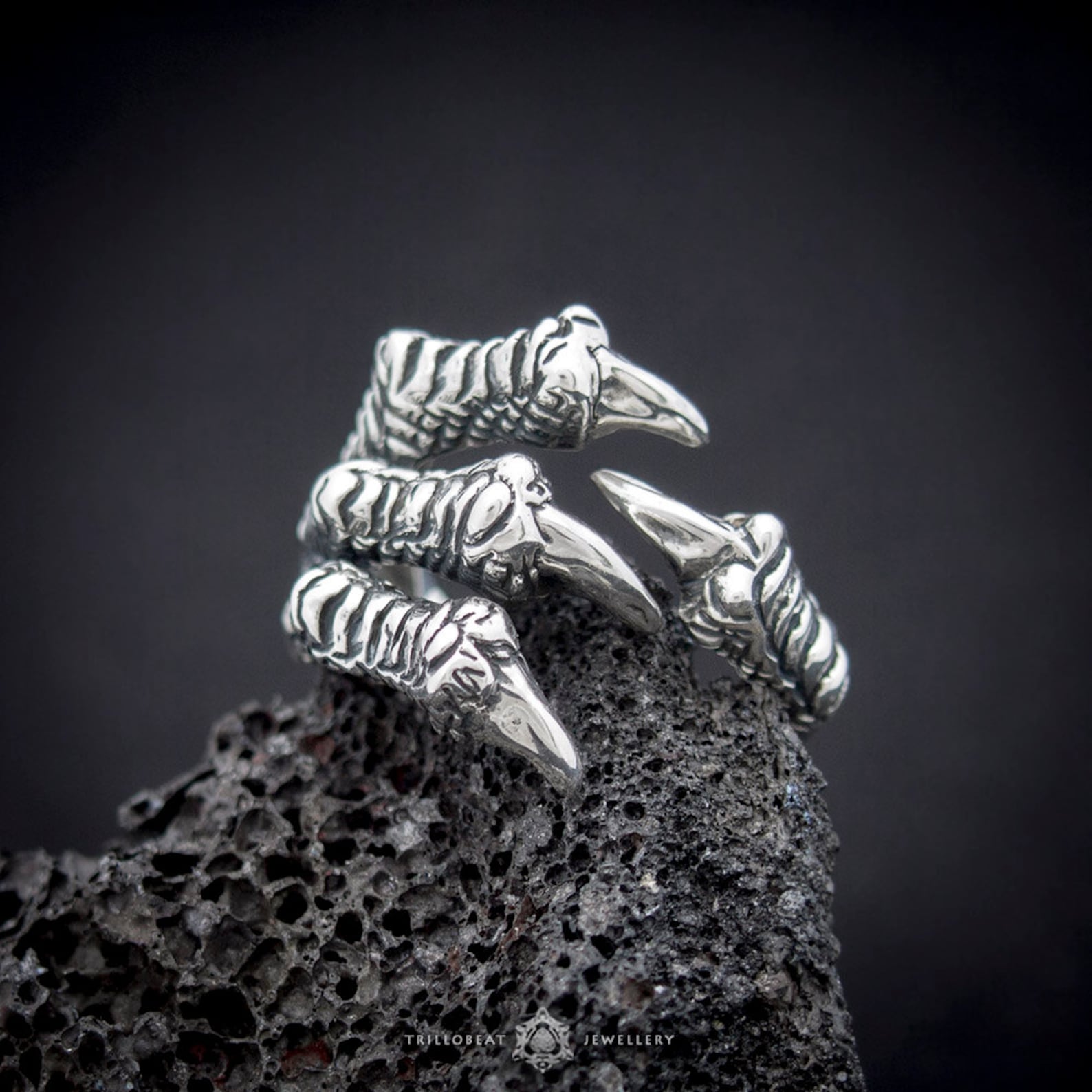 Dragon Claw Ring | Claw Ring | Dragon Claws | Adjustable Ring | Mother ...