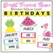 Birthday Display Bright Tropical Birthday Chart Birthday Bulletin Board ...