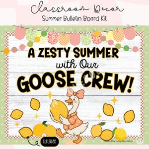 Goose Summer Bulletin Board, June Bulletin Board, Groovy Classroom ...